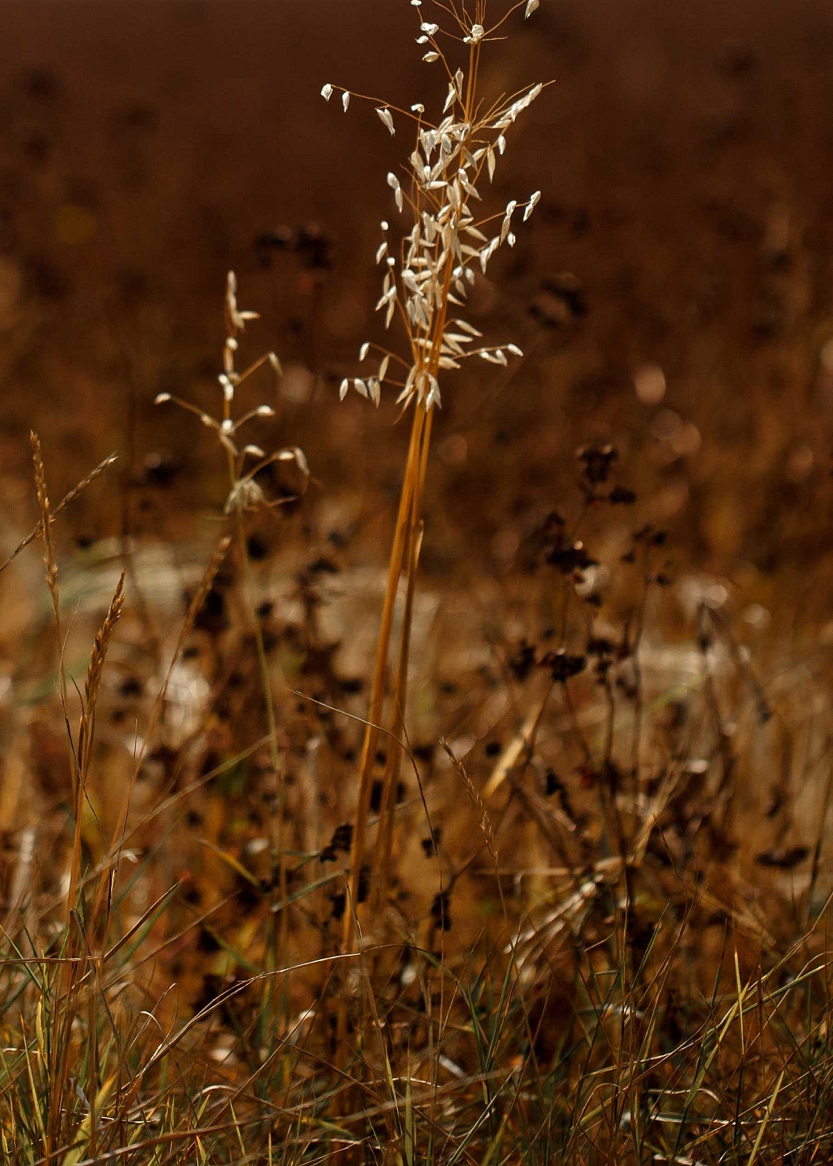 Big Bold Health | Home