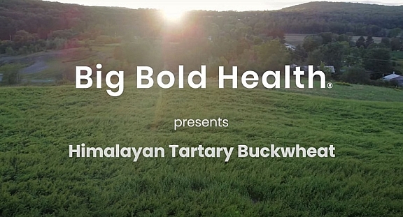 Big Bold Health | Home